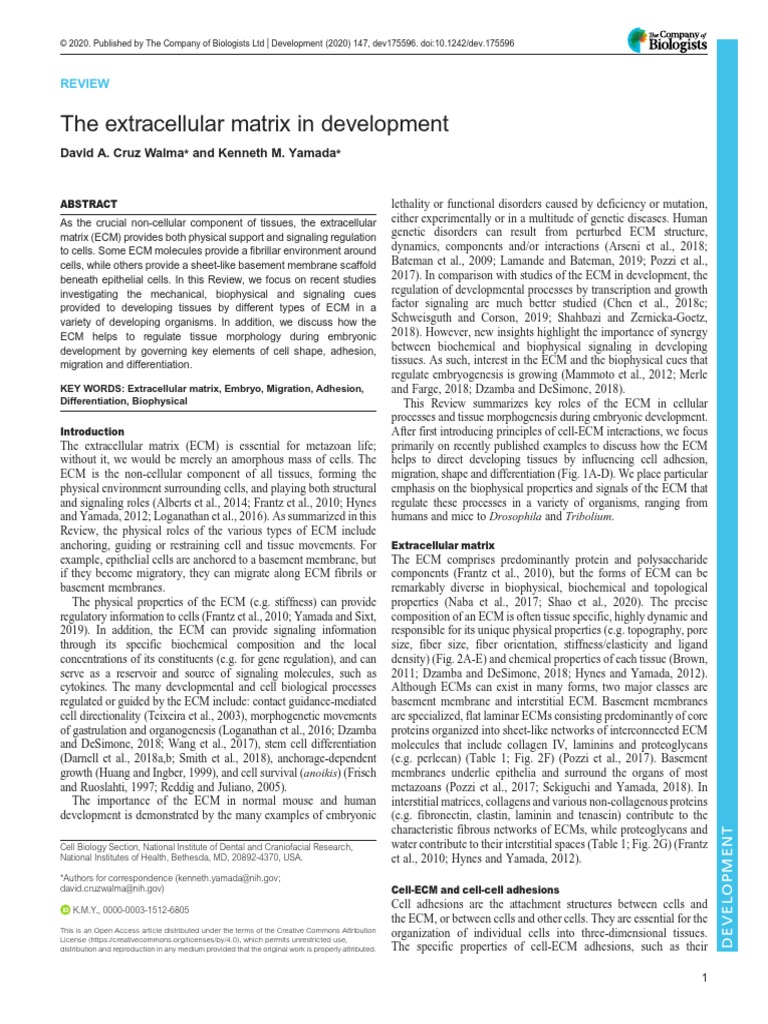 The Extracellular Matrix in Development PDF | Download Free PDF | Extracellular Matrix | Cell ...