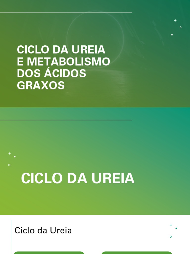Ciclo Da Ureia - Metabolismo Dos Ácidos Graxos | PDF | Ácido graxo ...