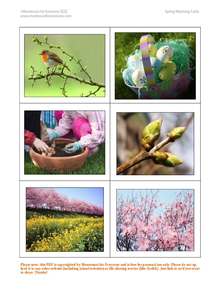 Spring Matching Cards for Kids | PDF