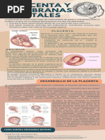 Digestión: Bolo, Quimo y Quilo | PDF | Digestión | Tracto gastrointestinal