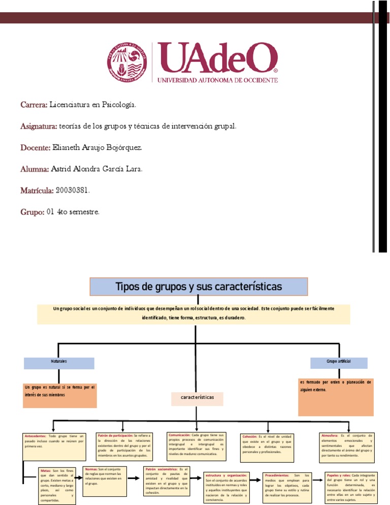 Mapa Conceptual Gpos Naturales y Artificiales | PDF | Grupo social | Cohesión grupal