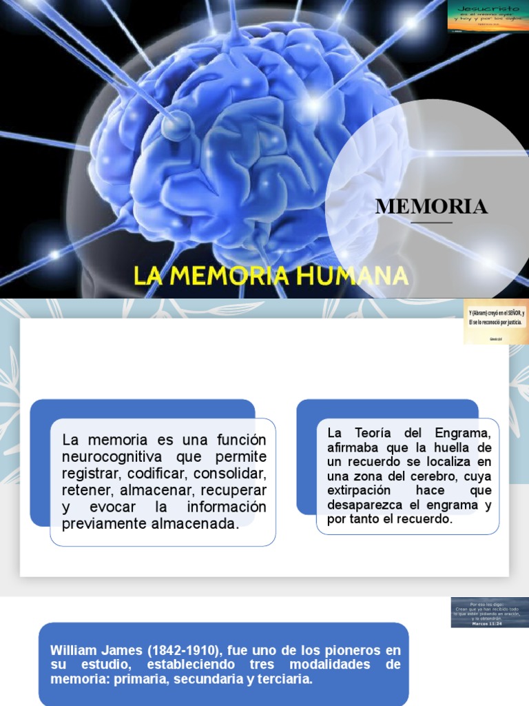 Tipos y Funciones de la Memoria Humana | PDF | Memoria | Las emociones