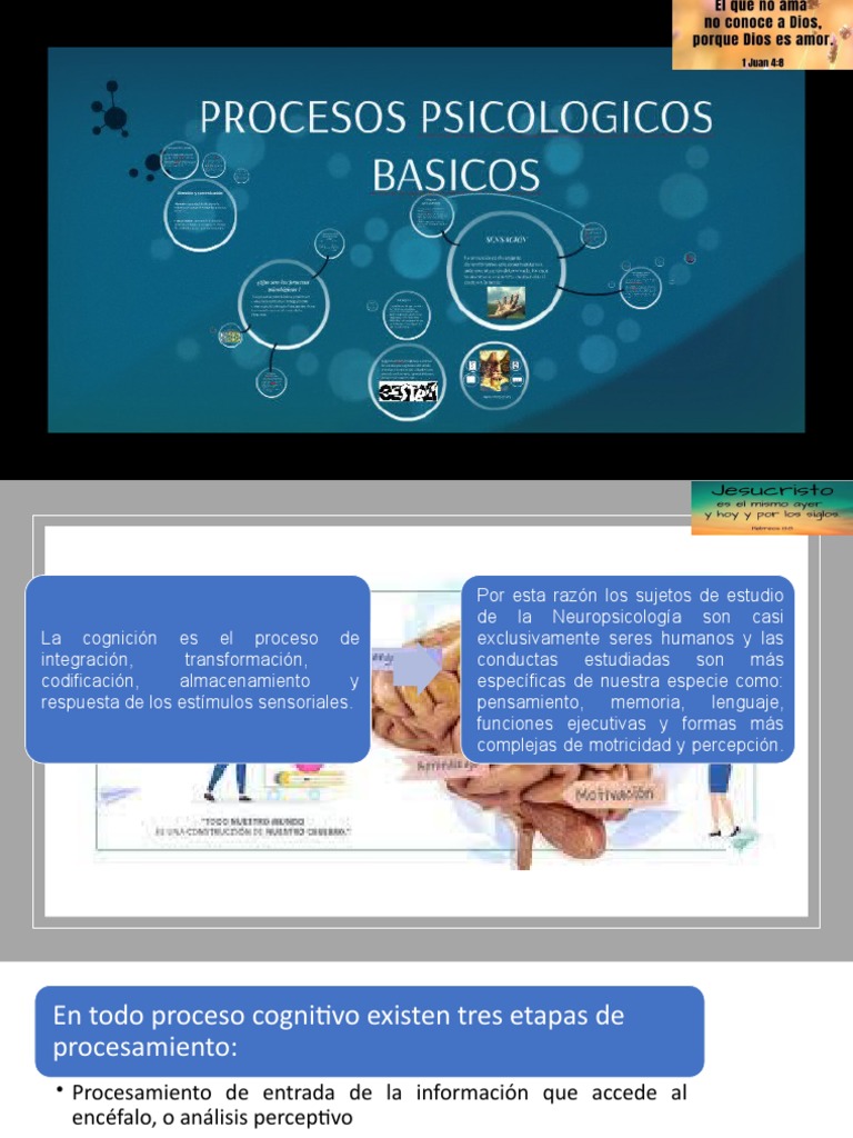 Procesos Psicologicos 1 Percepción | PDF | Percepción | Sentidos