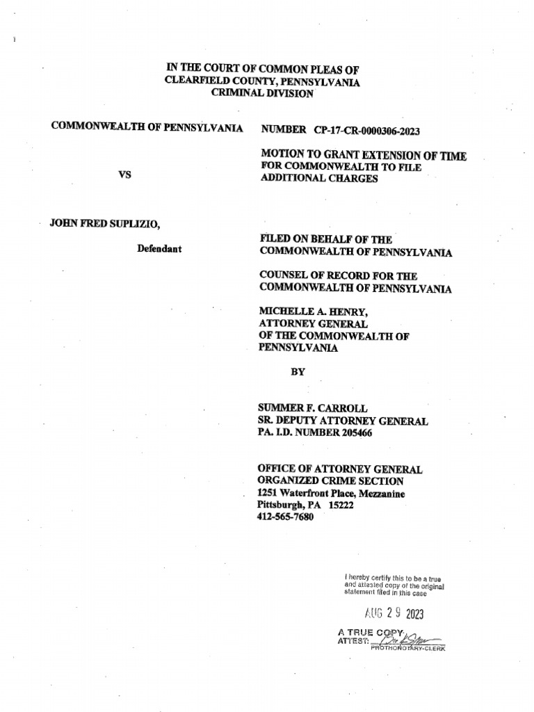 Suplizio Motion For Additional Charges | PDF
