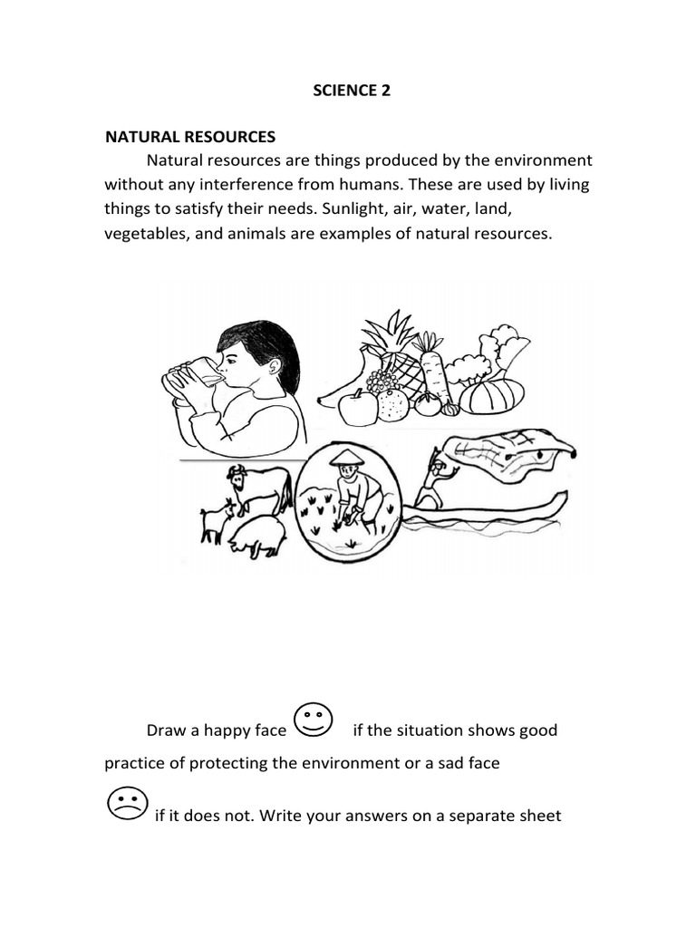 Science 2 Natural Resources | PDF | Renewable Resources | Resource