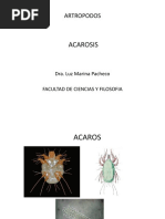 Ácaros del polvo: Dermatophagoides y Euroglyphus | PDF | Alergia