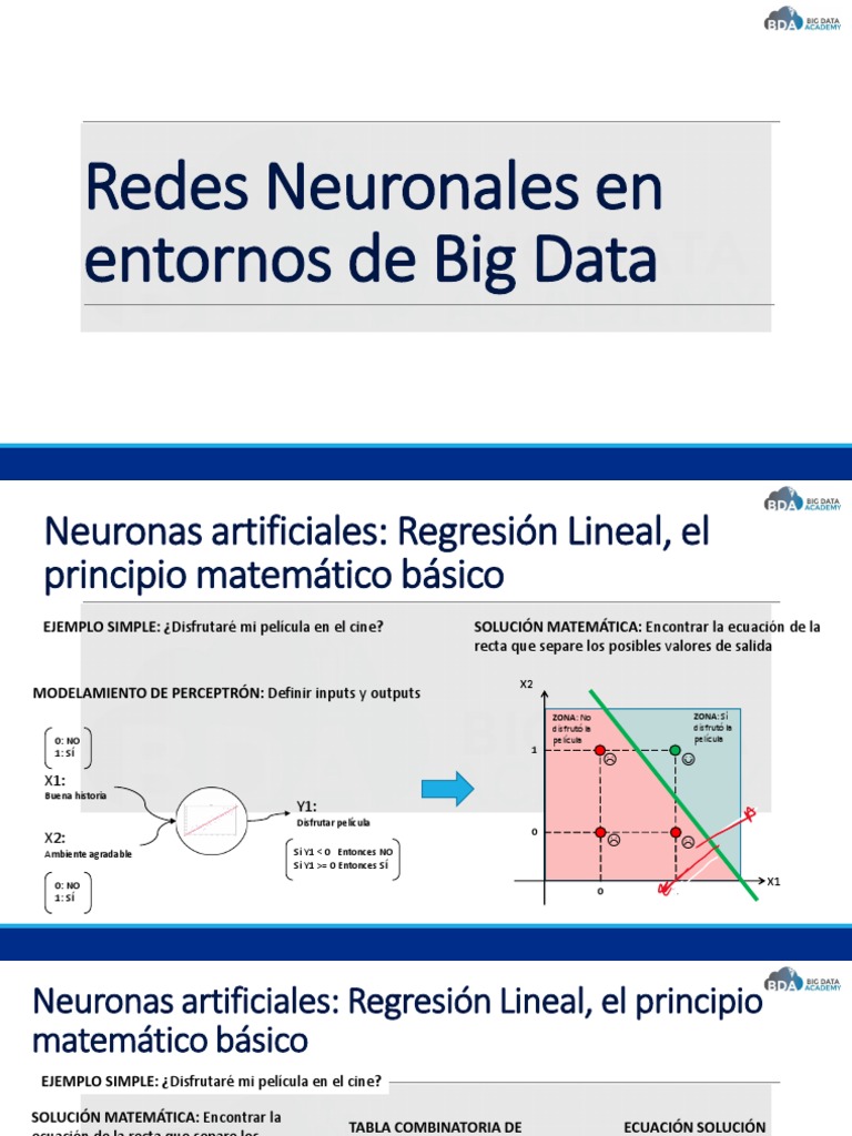 S901.2. Redes Neuronales en Entornos de Big Data | PDF | Red neuronal artificial | Neurona