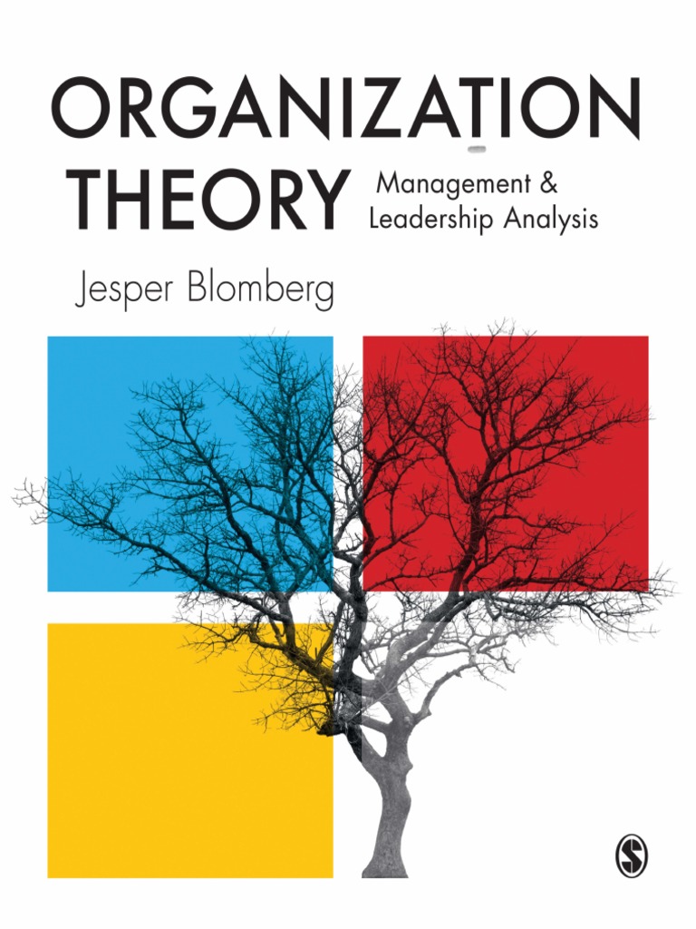 Organization Theory 1 | PDF