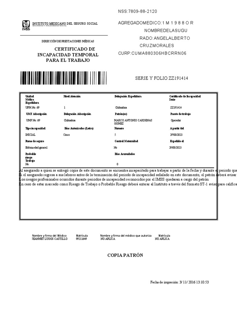 Formato Incapacidad Imss Editable Word | PDF