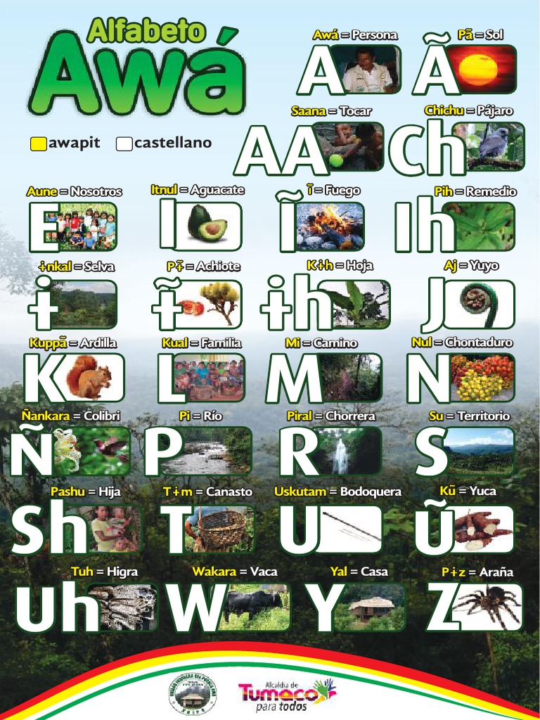 Abecedario Awa_pit | PDF