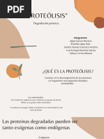 Dextrogira y Levogira | PDF | Chiralidad (Química) | Síntesis química