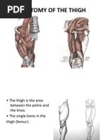 anatomy and physiology cheat sheet scioly 2025 | PDF | Muscle ...