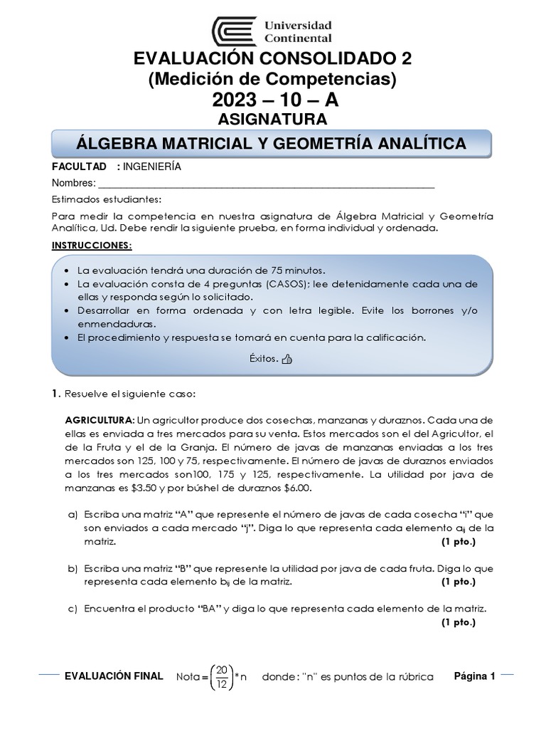 Eva Consolidado 2 (Evaluacion de Competencias) | PDF | Álgebra | Geometría