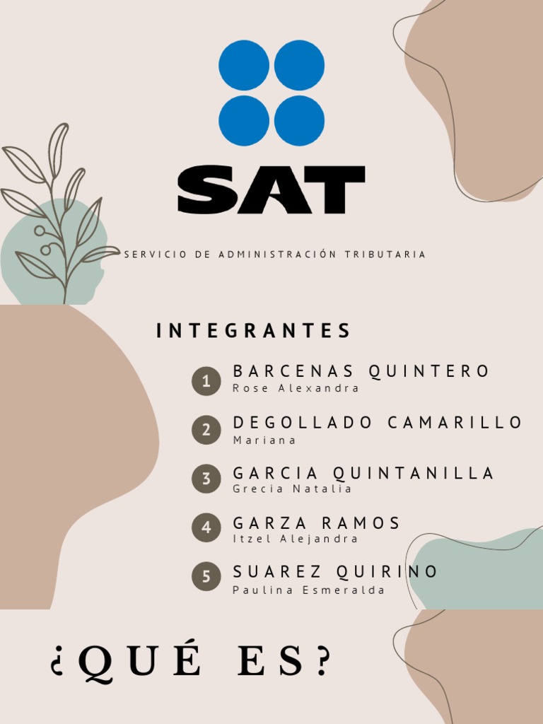 Introducción al SAT y sus funciones | PDF | Impuesto sobre la renta ...