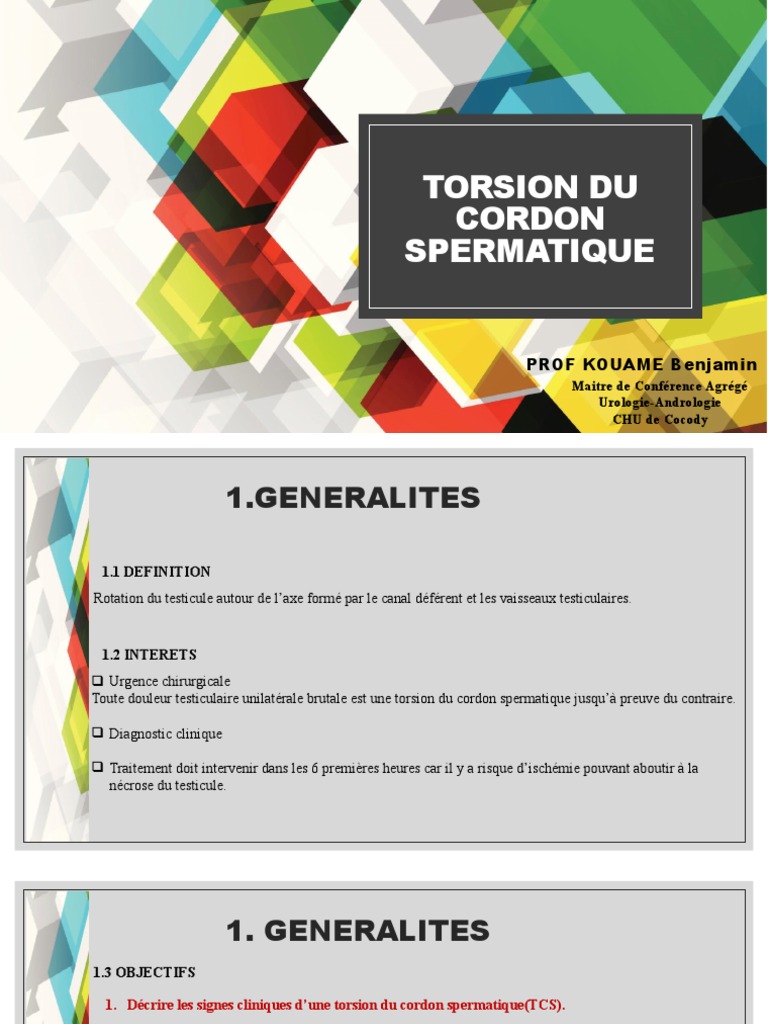 Torsion Du Cordon Spermatique (Corrigé) | PDF | Testicule | Mammifères ...