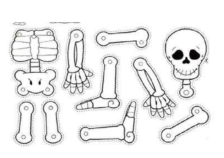 El Esqueleto Armable | PDF