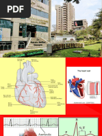 Escala de Killip y Kimball | PDF | Infarto de miocardio ...