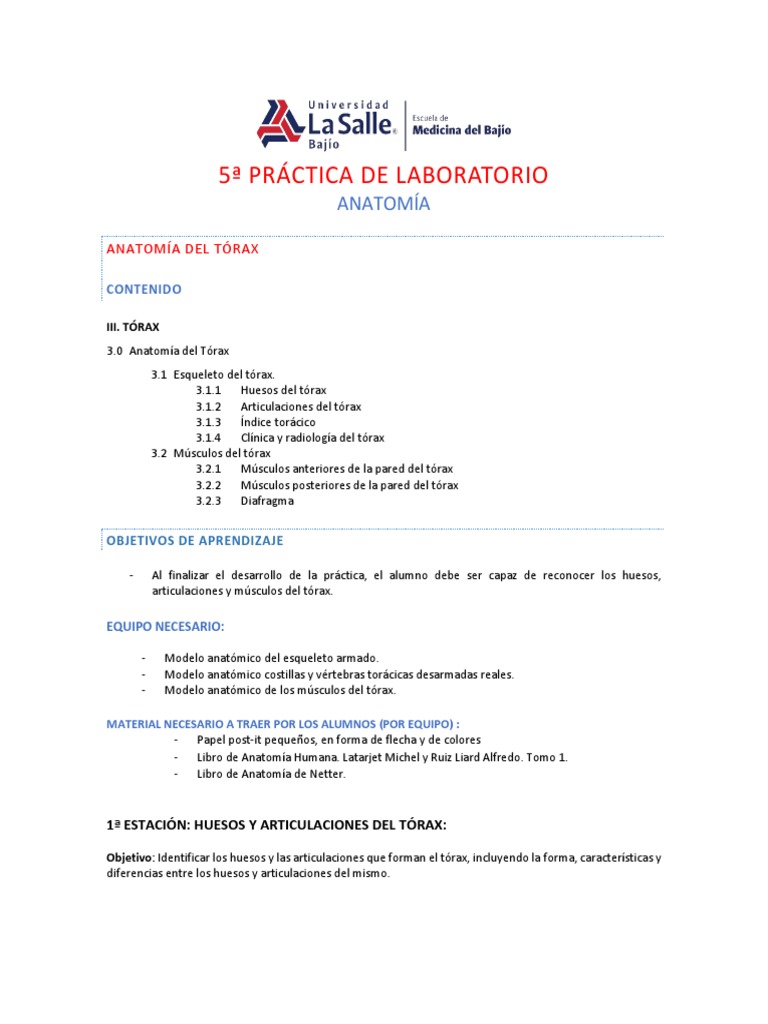 5a Práctica Lab Anatomia Del Tórax | PDF | Tórax | Esqueleto
