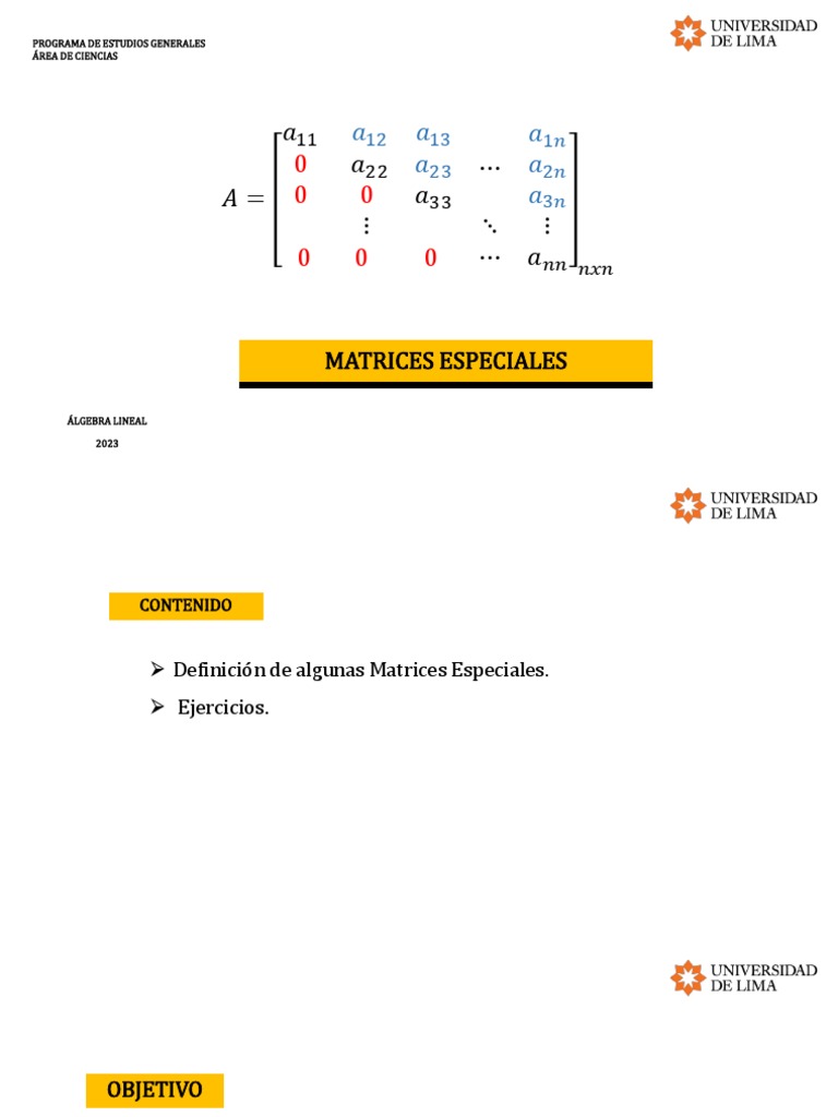 Matrices Especiales 230719 214223 | PDF | Matriz (Matemáticas) | Funciones y mapeos