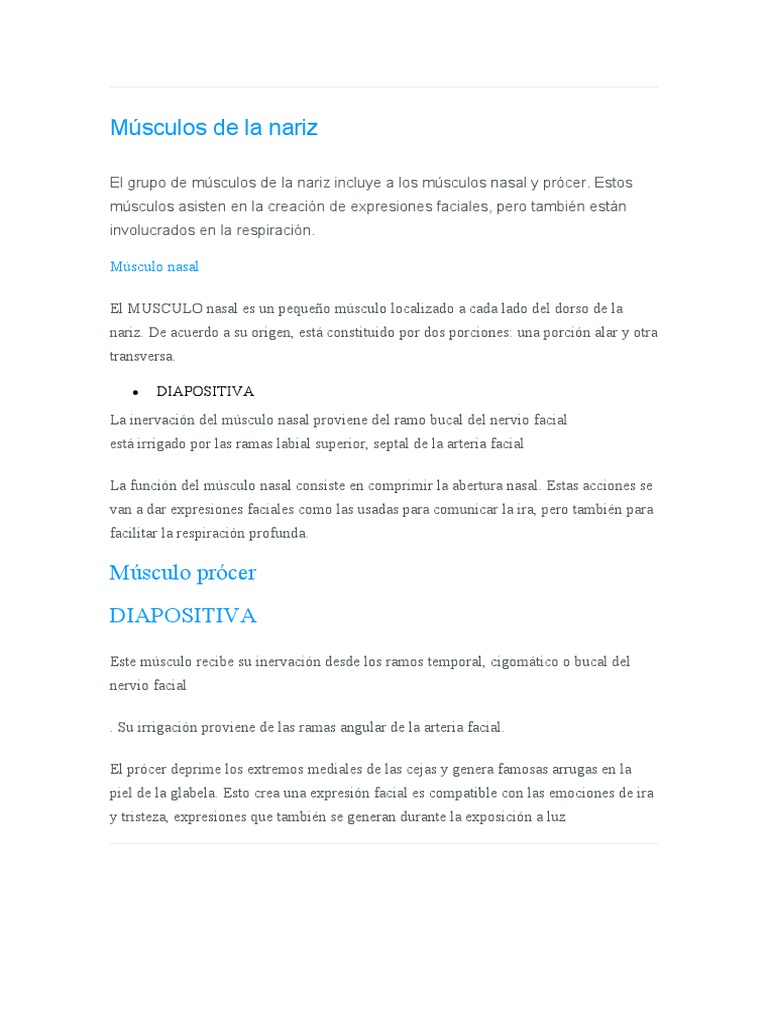EXPOSICIion Final de Anatomia | PDF | Anatomía | Sistema nervioso