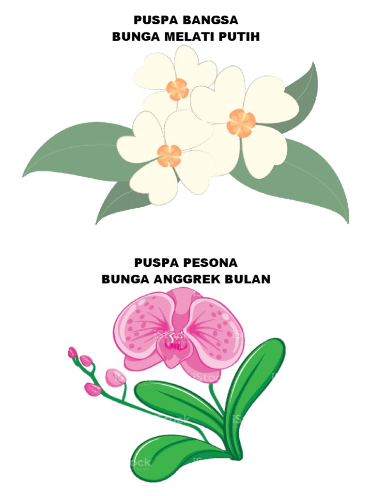 Jenis-Jenis Bunga Indonesia yang Indah | PDF