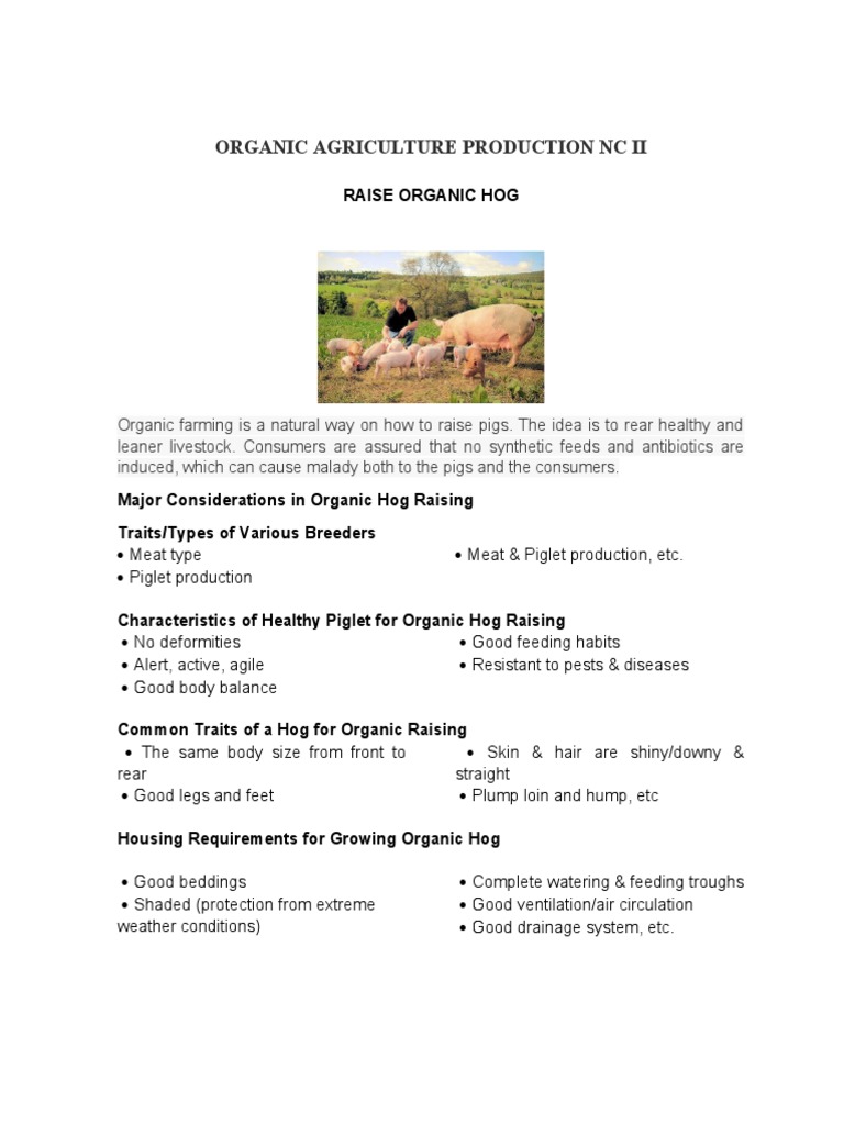 Raise Organic Hog | PDF | Pig | Meat