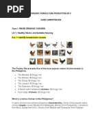 Native Chicken Production in The Philippines | PDF | Chicken | Poultry