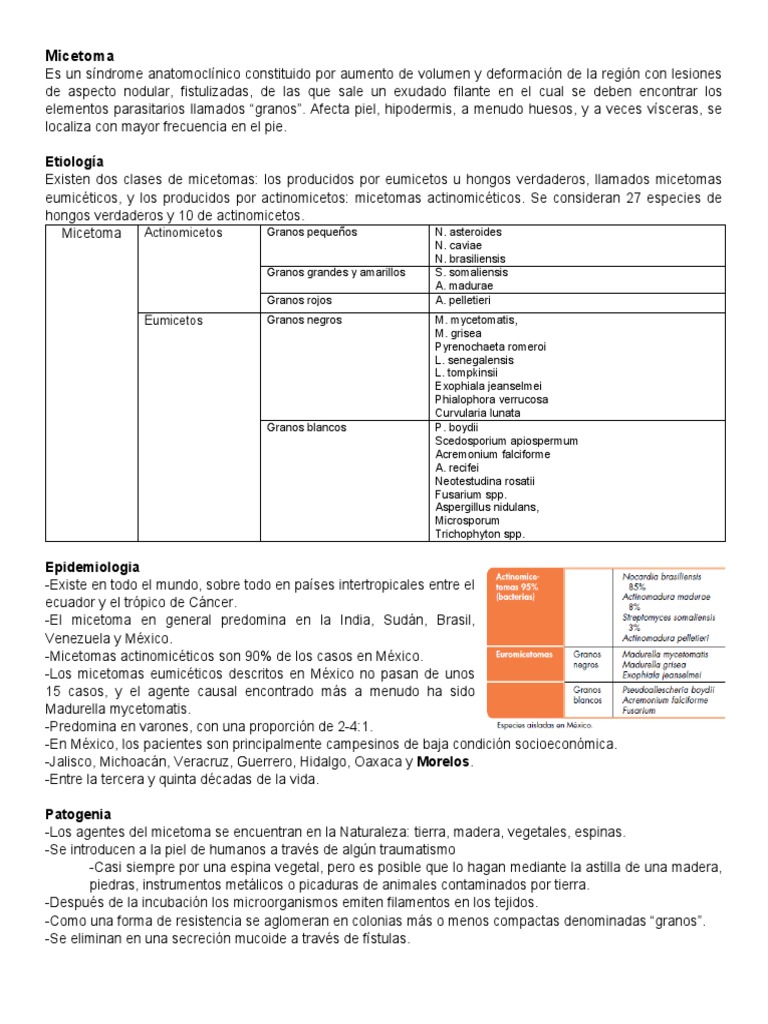 Micetoma: Tipos, Síntomas y Tratamiento | PDF | Causas de la muerte ...