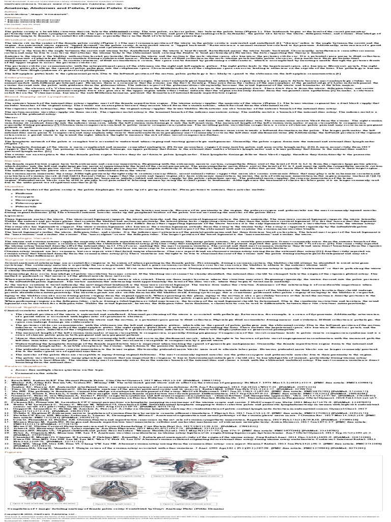 Anatomy Abdomen And Pelvis Female Pelvic Cavity Statpearls Ncbi