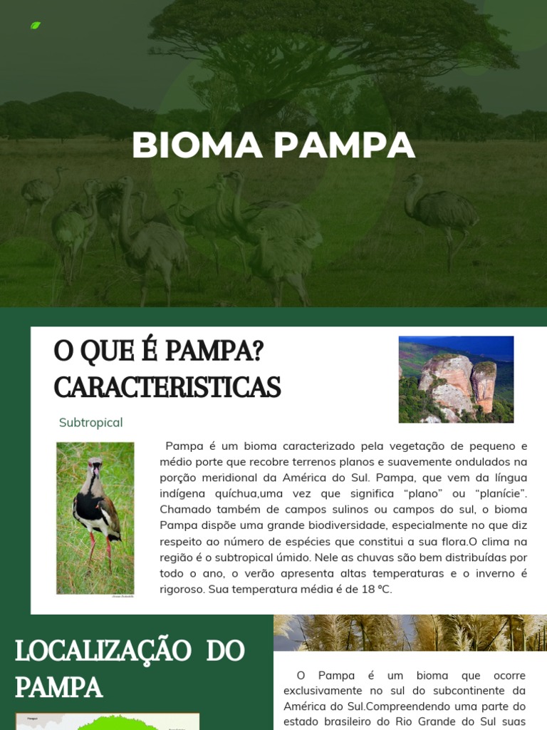 Características e Desafios do Bioma Pampa | PDF | América do Sul ...