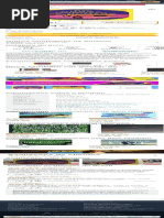 A Gente Mira No Amor e Acerta Na Solidão - Ana Suy | PDF