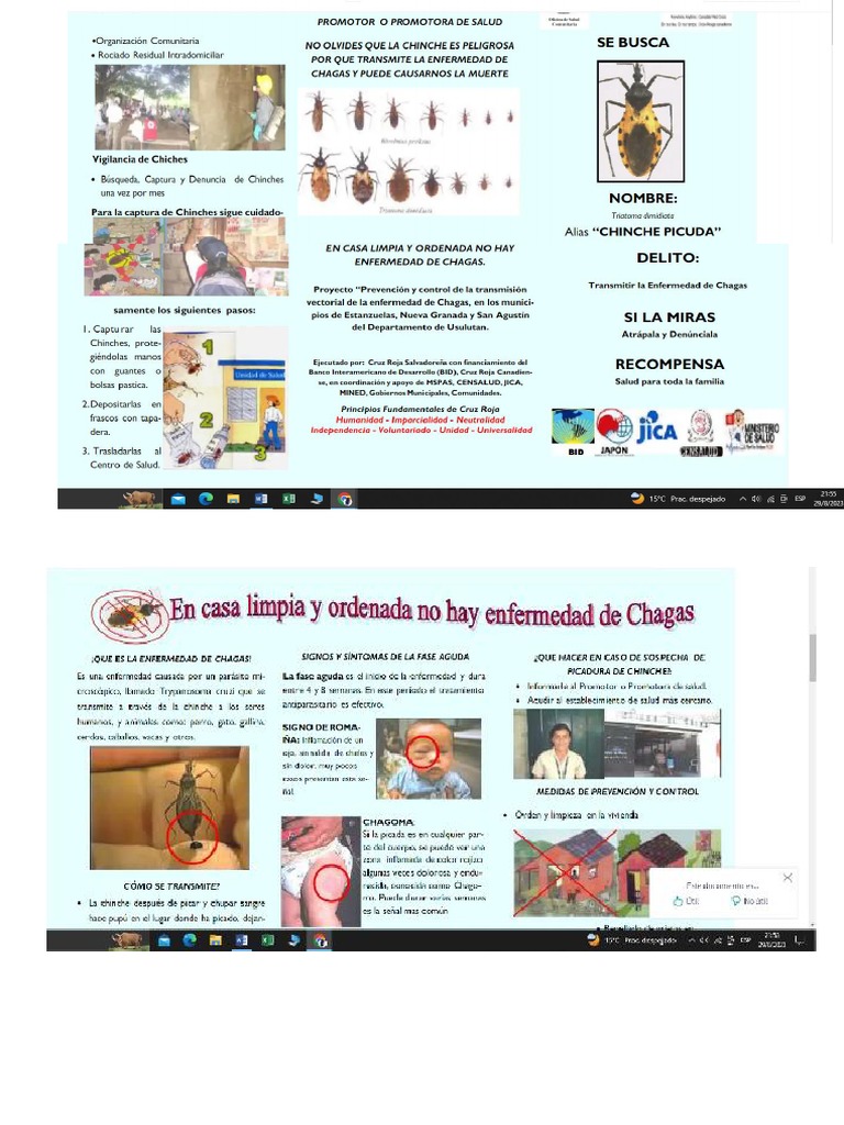vinchuca | PDF