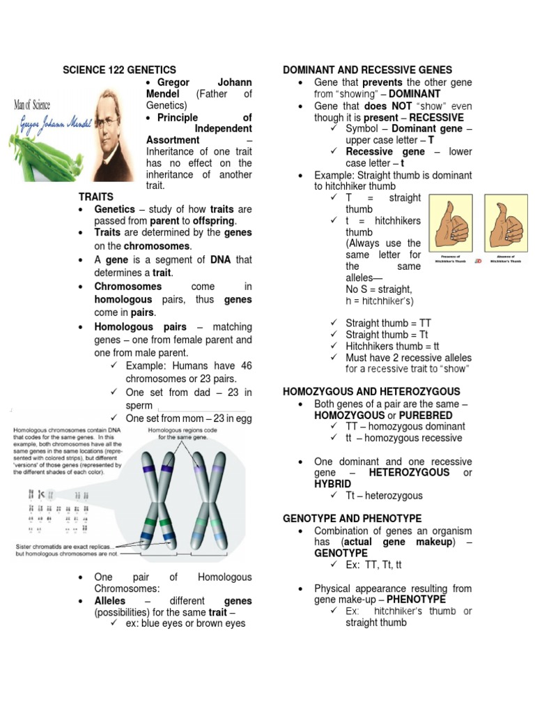 Genetics Reviewer Pdf