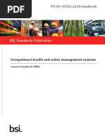 IAF (EAC) Codes and Descriptions List | PDF | Mining | Metals