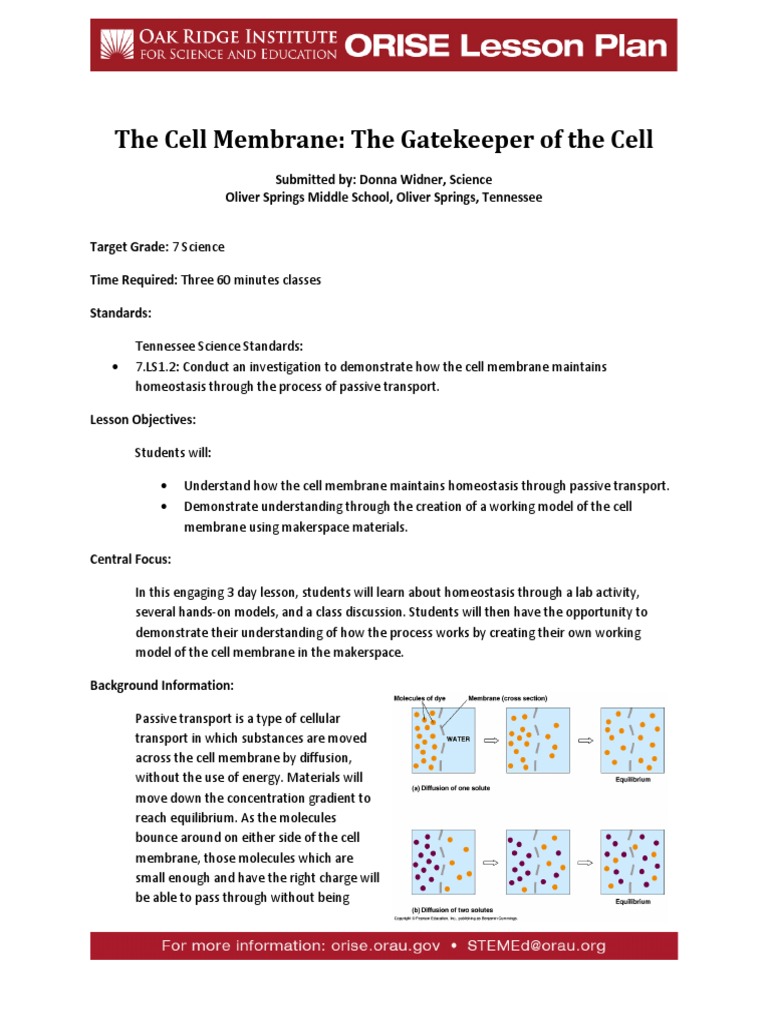 Cell Membrane The Gatekeeper of The Cell | PDF | Osmosis | Cell Biology