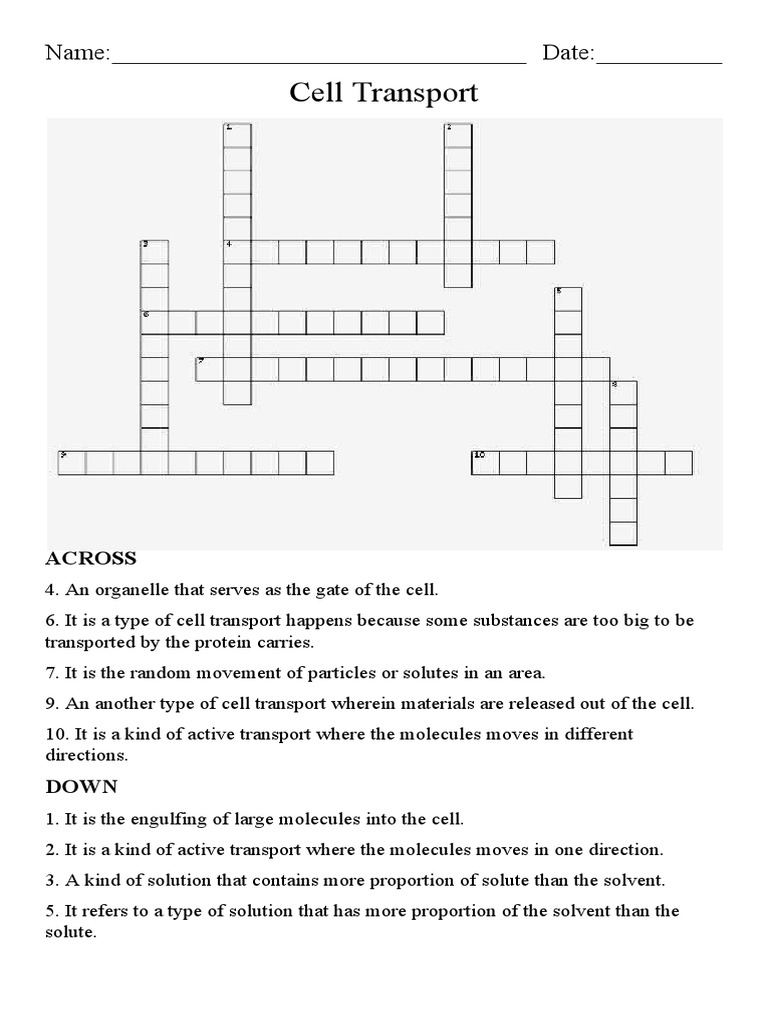 Cell Transport Crossword Puzzle | PDF | Social Science | Philosophy