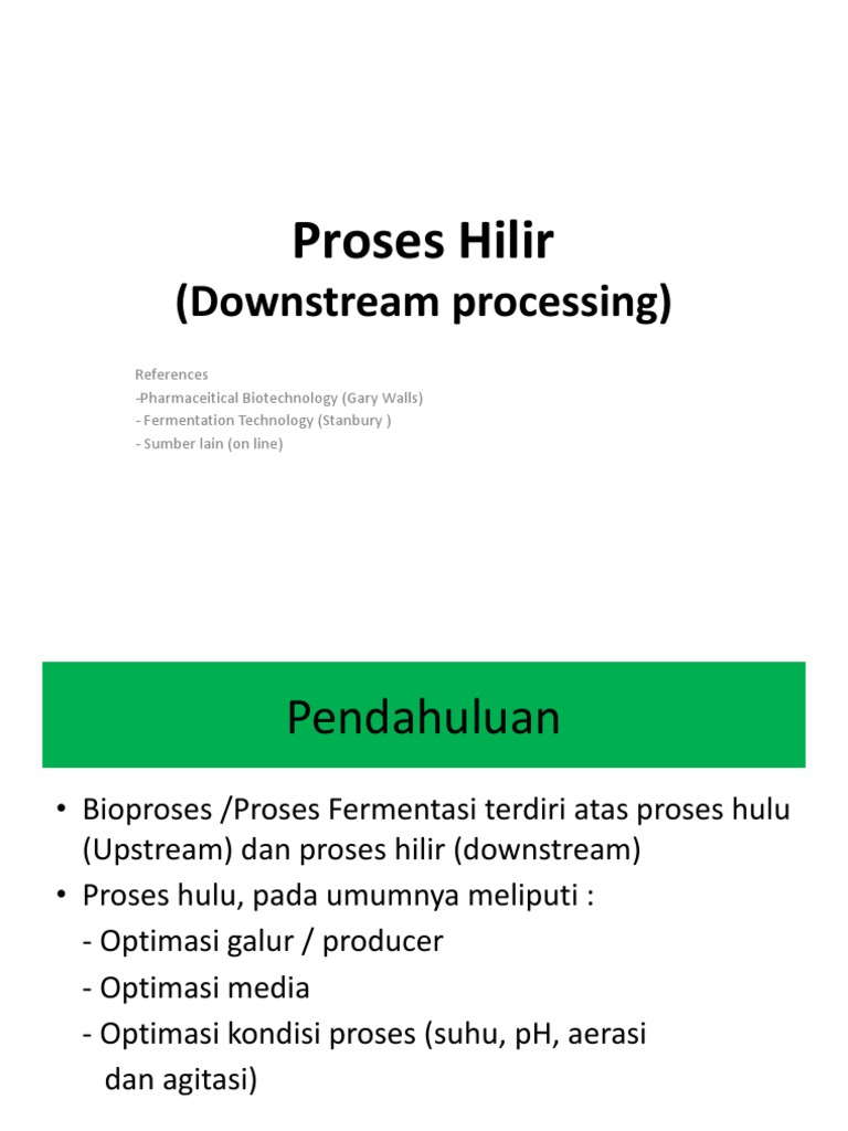Proses Hilir - Downstream Process | PDF