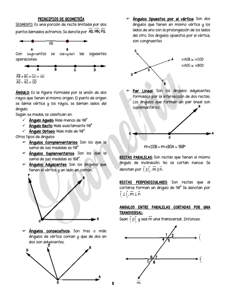 Guía de Trabajo # 41 - Segmentos y Ángulos | PDF | Geometría triangular | Matemática Elemental