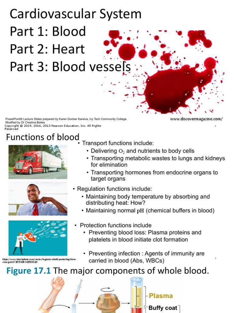 WK 1 Blood 2023 | PDF | Blood | Blood Plasma
