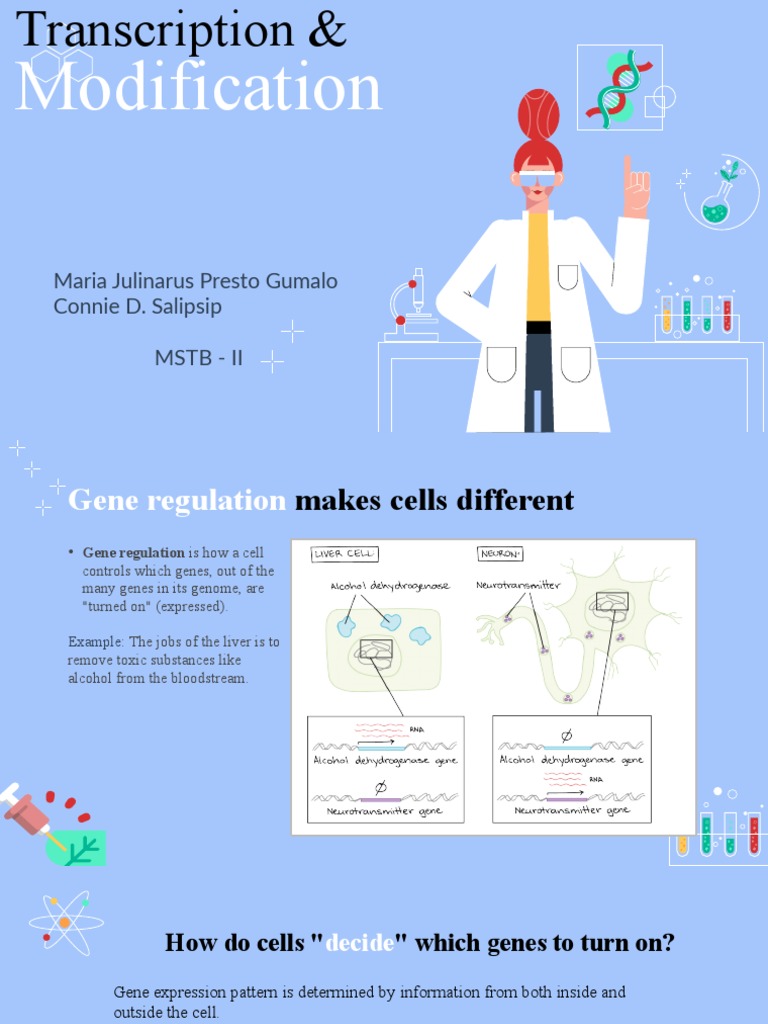 Transcription and Modification | PDF | Messenger Rna | Gene