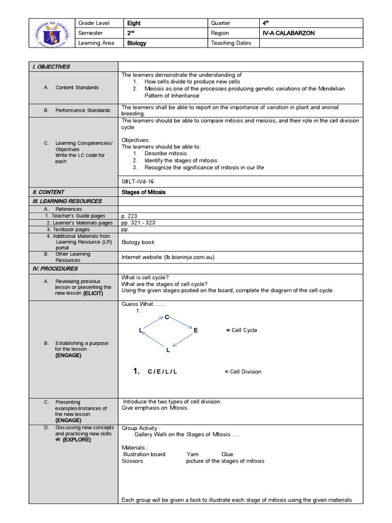 G8C10 6 3X-Force Cell-Division | PDF | Mitosis | Learning