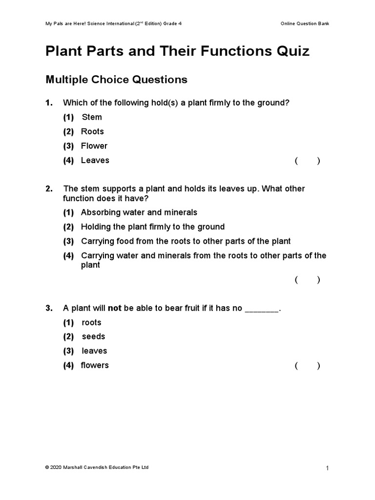 Grade 4 Plant Parts Quiz | PDF