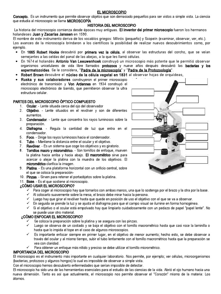 Historia y partes del microscopio | PDF | Microscopio | Óptica