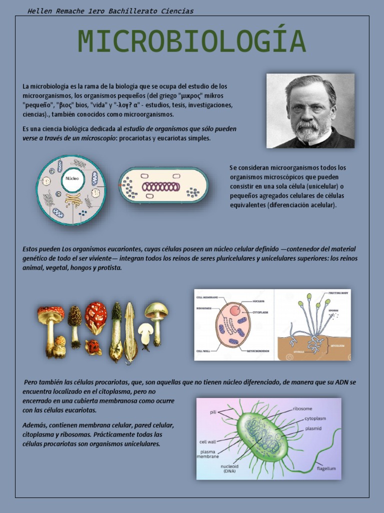 Micro Biolog Í A | PDF | Microbiología | Microorganismo