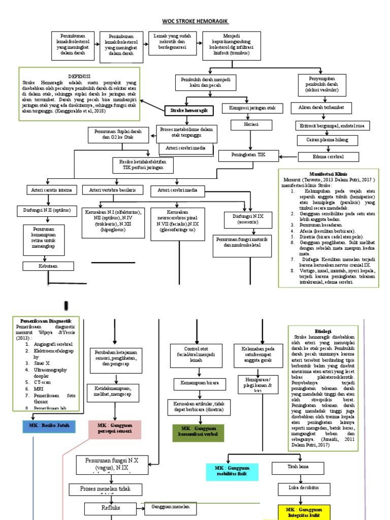 Woc Stroke Hemoragik | PDF