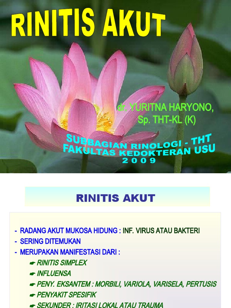 SSS-K38 Rhinitis | PDF