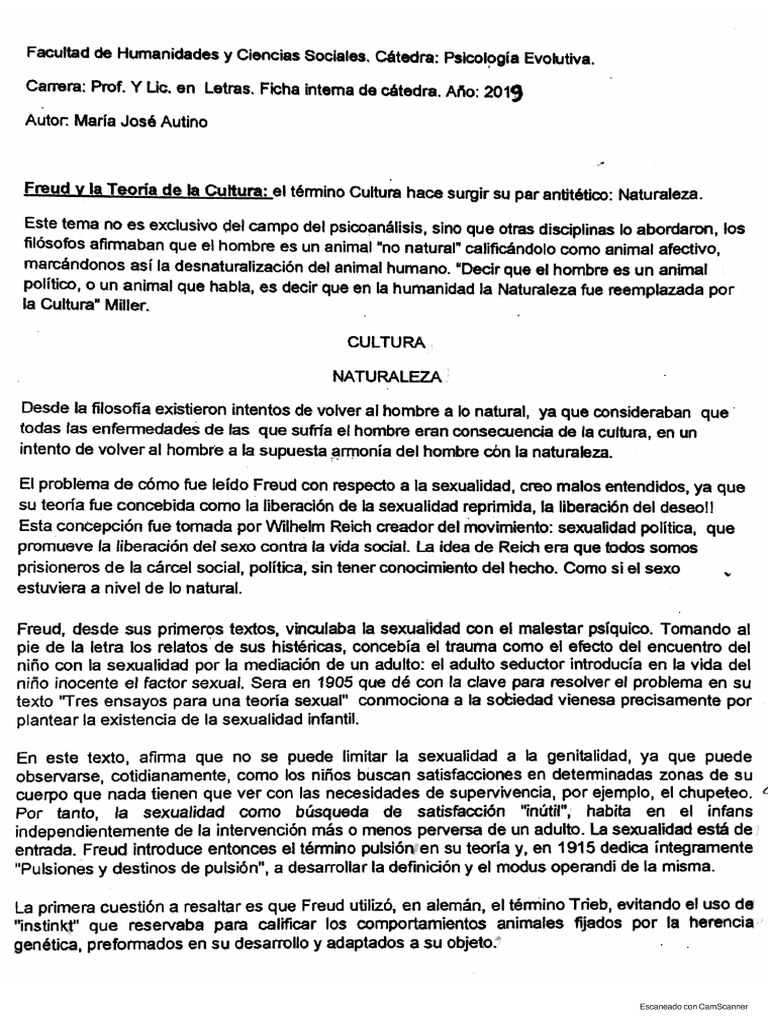 2-Freud y La Teoria de La Cultura - Autino | PDF