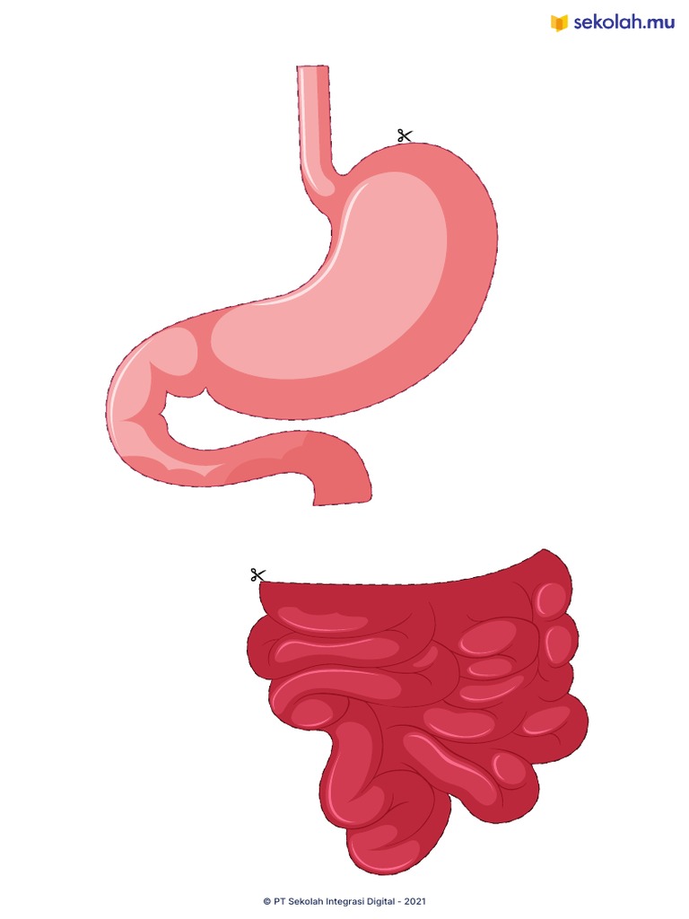 Kumpulan Worksheet Dokter Cilik Alpha | PDF