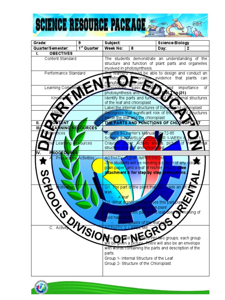 Biology G9 Q1 W8 D2 | PDF | Chloroplast | Leaf