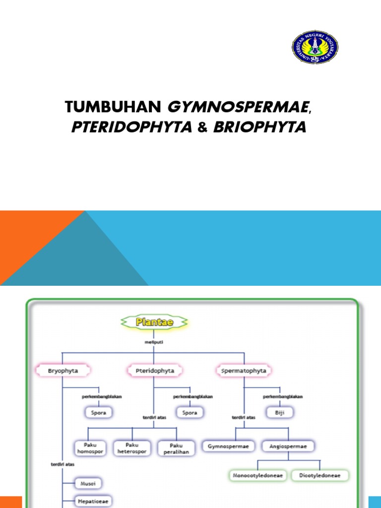 Ciri dan Reproduksi Lumut Bryophyta | PDF